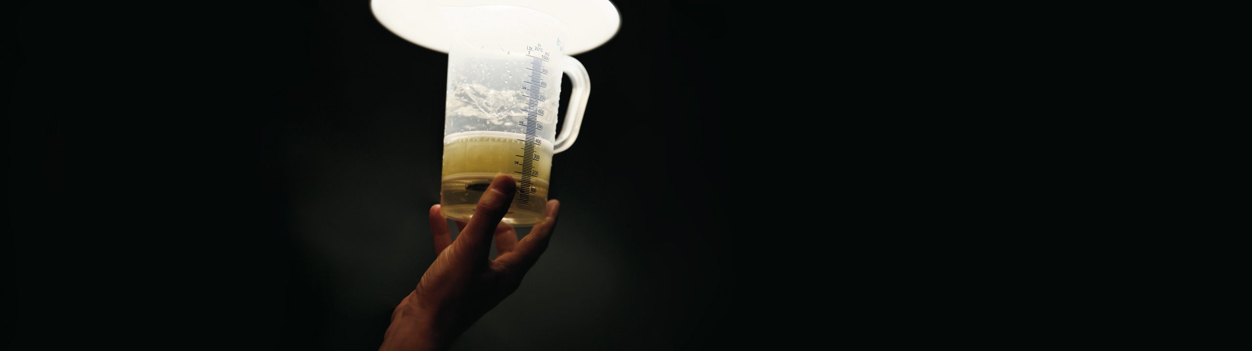 The best things in life are analog | ADOX - Photochemical products ...